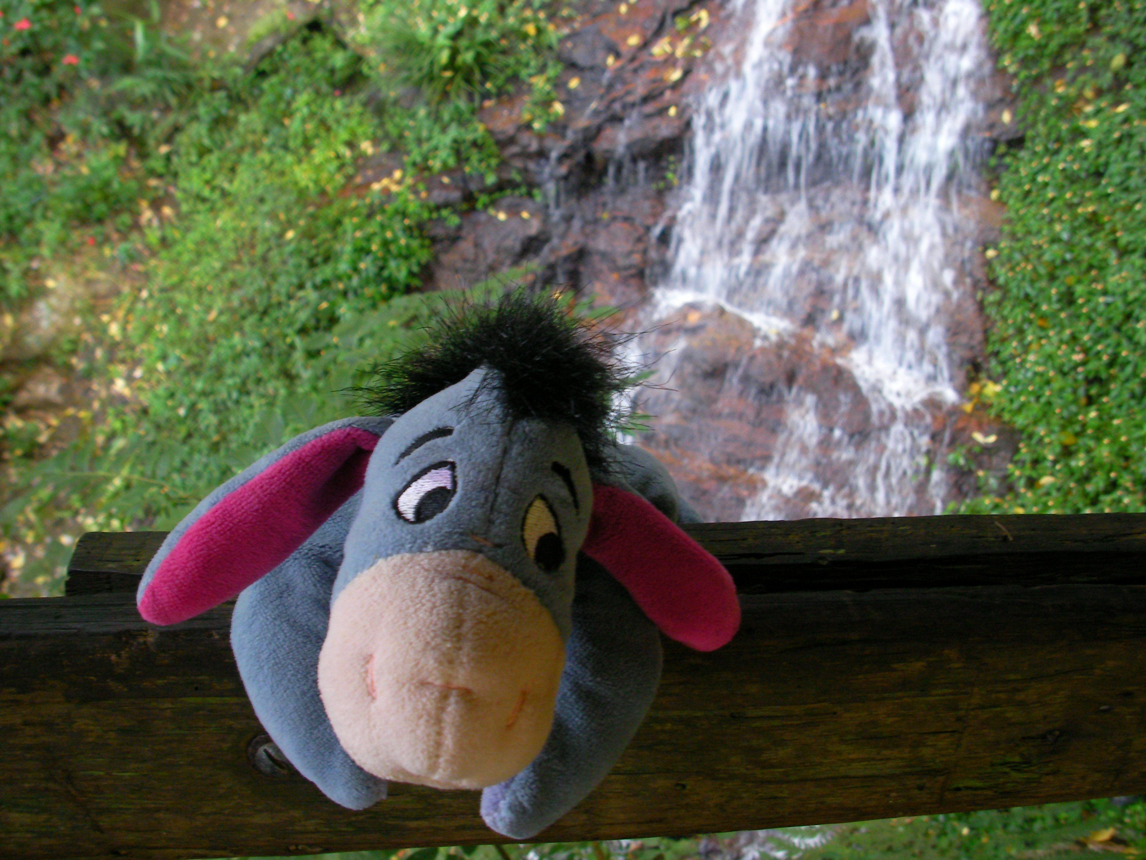 You Can't be a Beacon if Your Light Don't Shine! Eeyore Marketing?